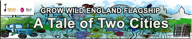 National Wildflower Centre